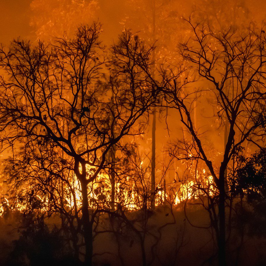 Wildfire Mitigation Solutions | Hendrix and Kerite Power Cables ...